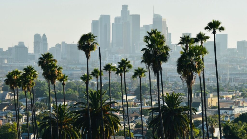 What Are the State CPR Guidelines in California? - CPR Los Angeles